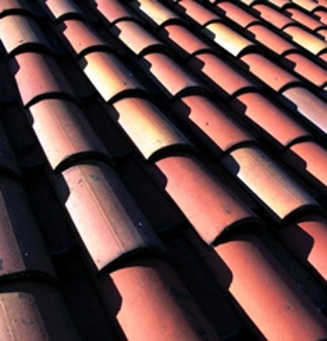 Bats in Tile Roofs | Bat Removal & Prevention| Allstate Animal Control